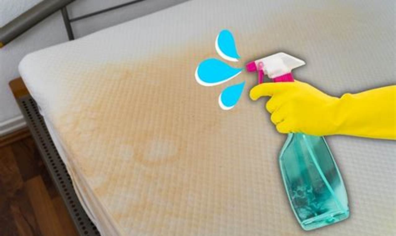 Easy Ways: How to Get Wee Stain Out of Mattress + Tips!