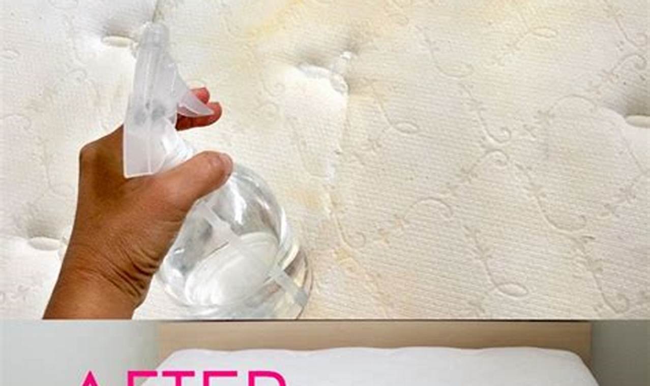 Easy How to Clean Spot from Mattress + Tips