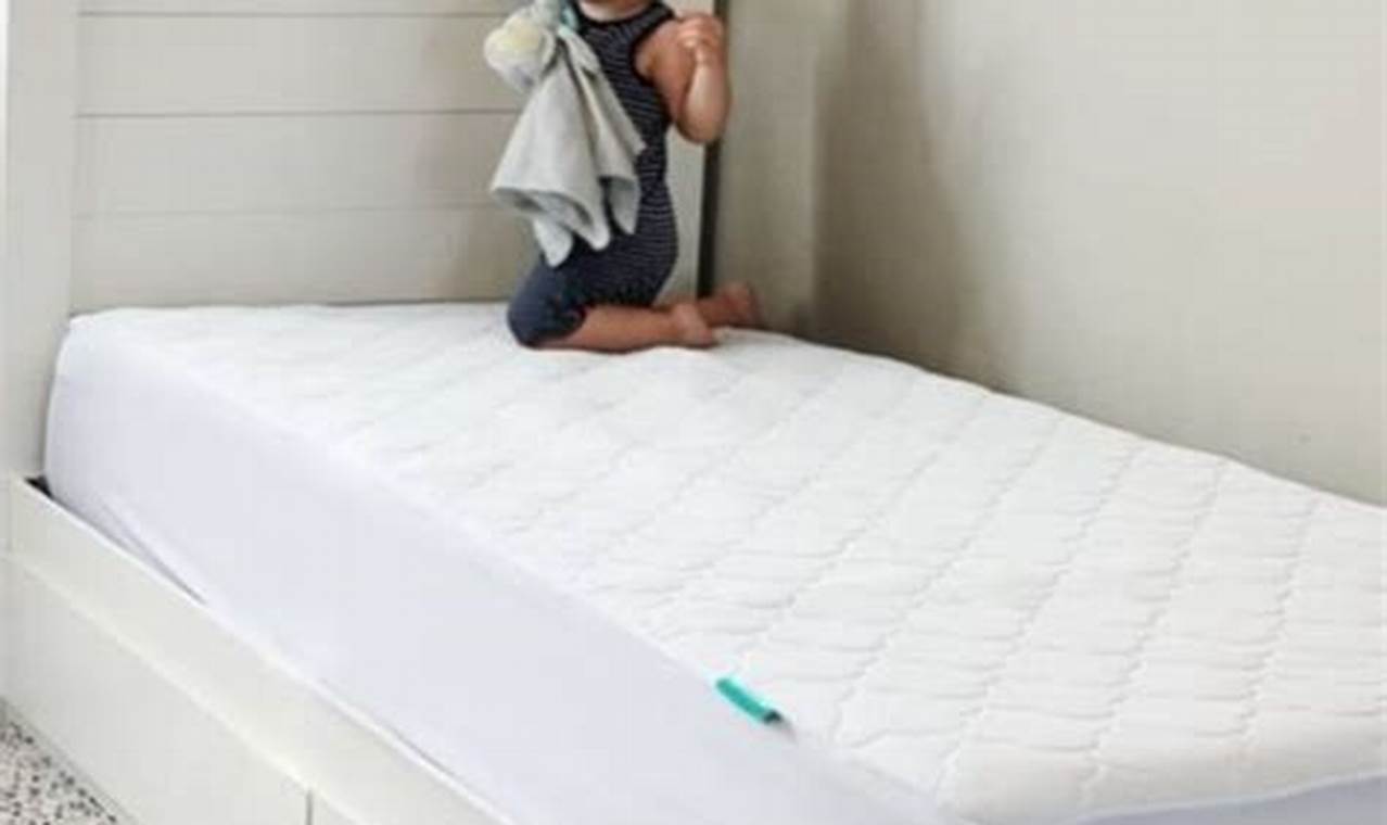 Is Newton Mattress Right For You? A Comprehensive Review