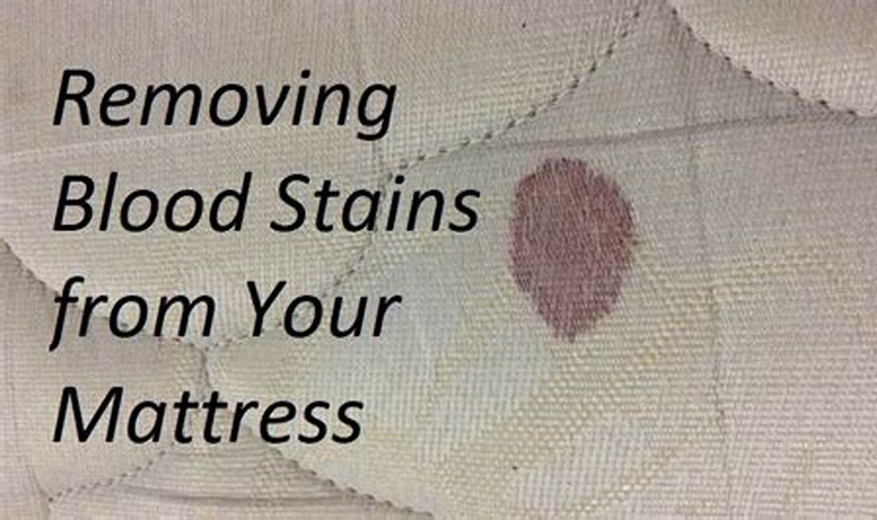 Cool Review About How To Get Blood Stain Out Of Sheetsfeed
