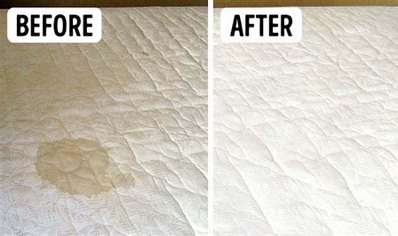 Easy How To Clean a Urine Stained Mattress - Guide